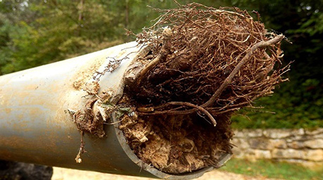 5 Bizarre Things That Clog Sewer Pipes! - Johnsheltonplumbing.com