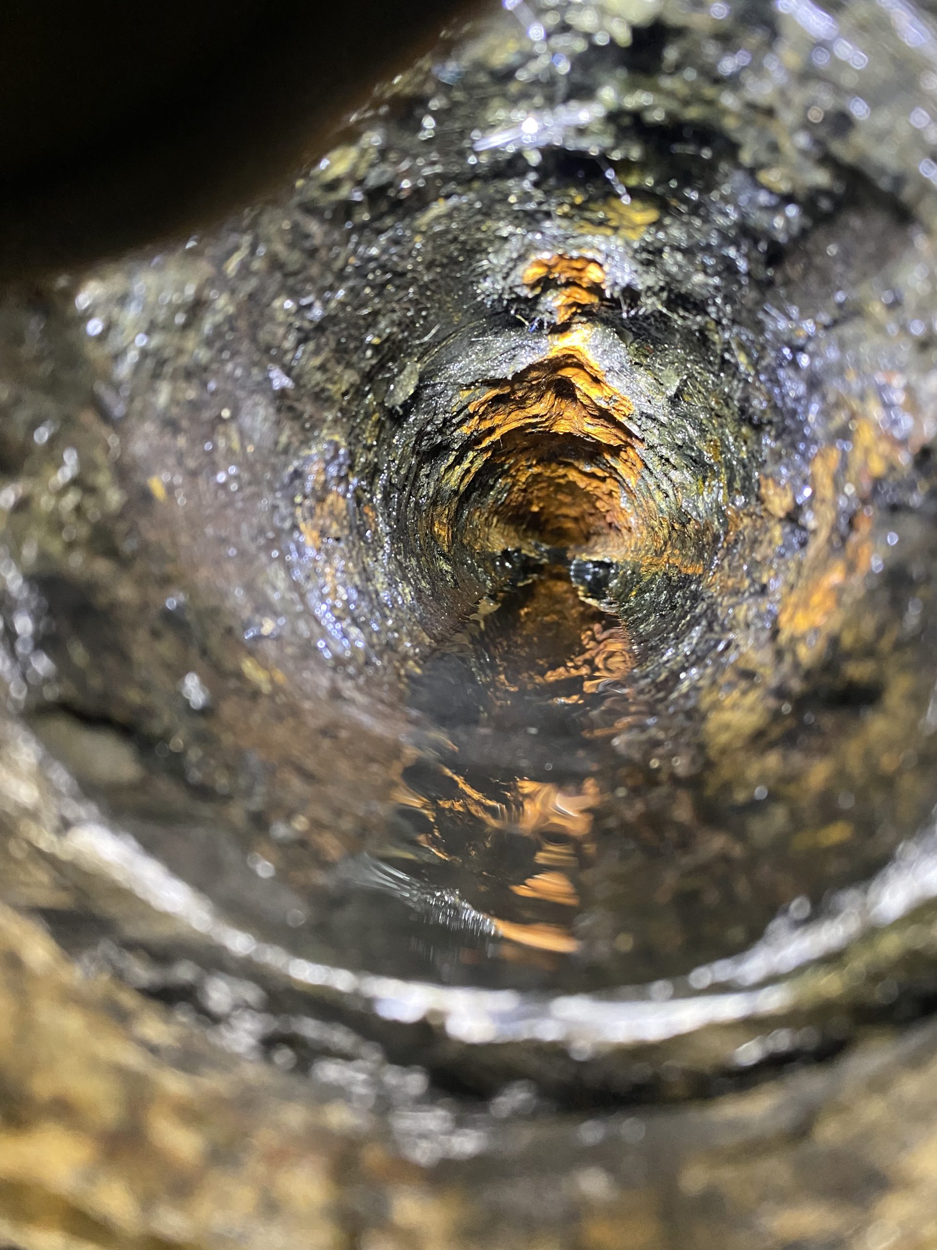 Clogged Sewer Line: Signs & Fixes | John Shelton Plumbing